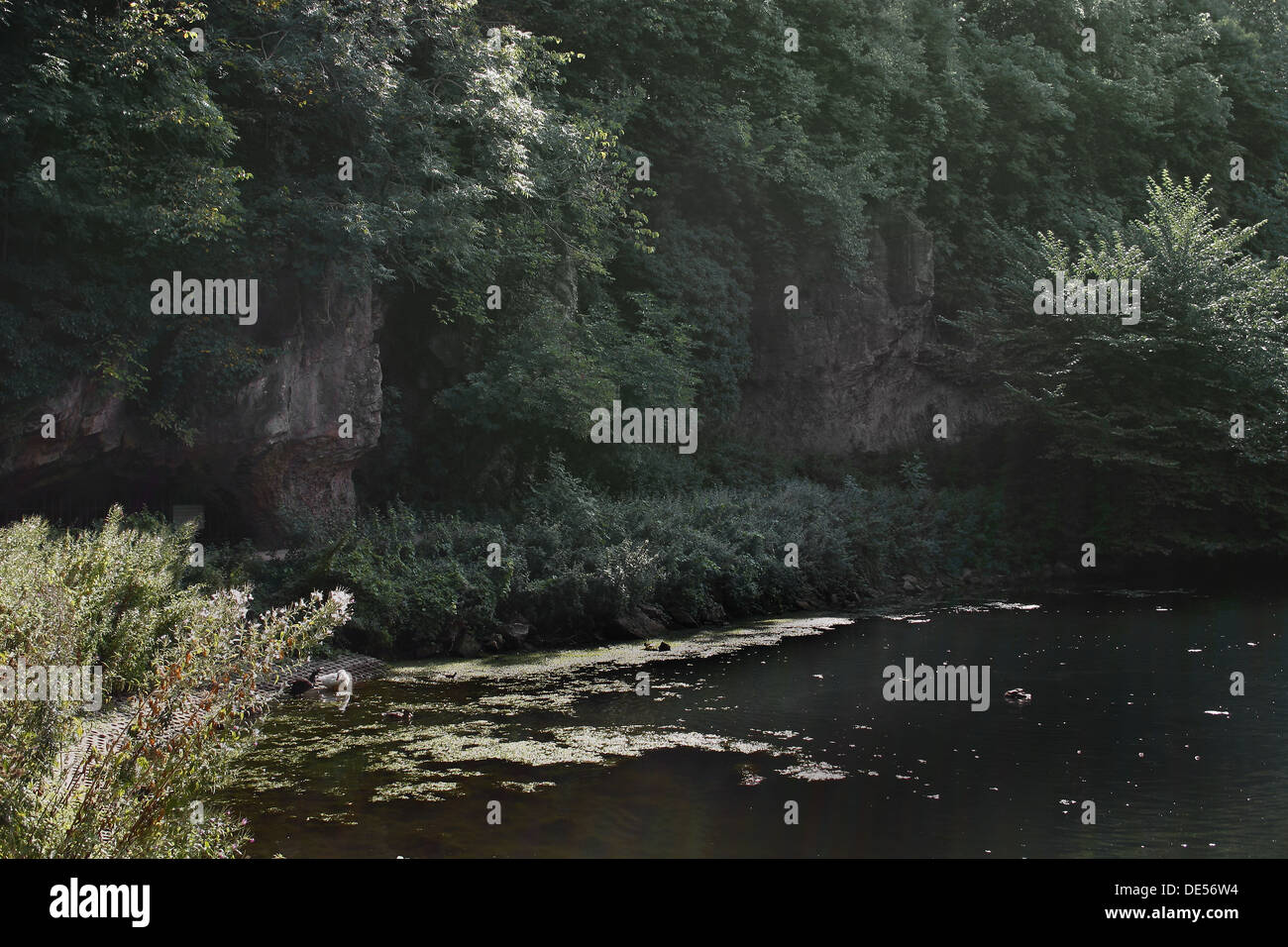 Creswell Crags, Welbeck, Worksop, Nottinghamshire, UK Stock Photo - Alamy