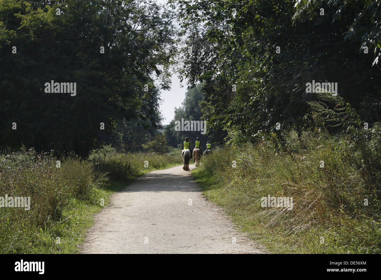 horseriders on path. Creswell Crags, Welbeck, Worksop, Nottinghamshire ...