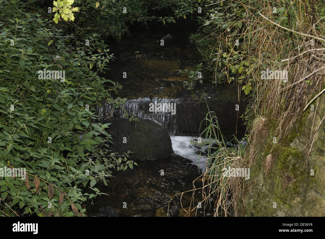 waterfall. Creswell Crags, Welbeck, Worksop, Nottinghamshire, UK Stock ...