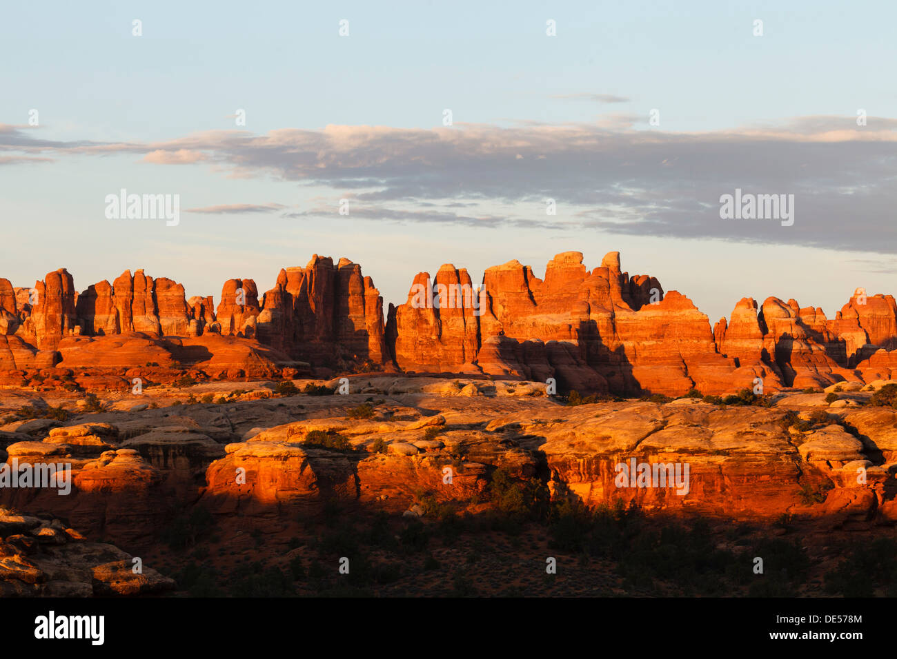 Elephant hill hi-res stock photography and images - Alamy