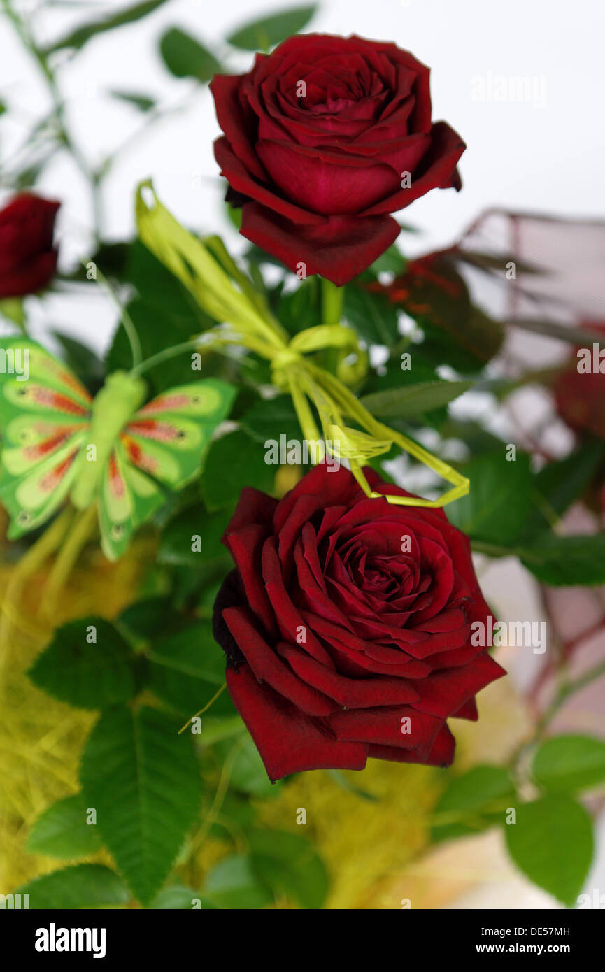 Red rose and butterfly hi-res stock photography and images - Alamy