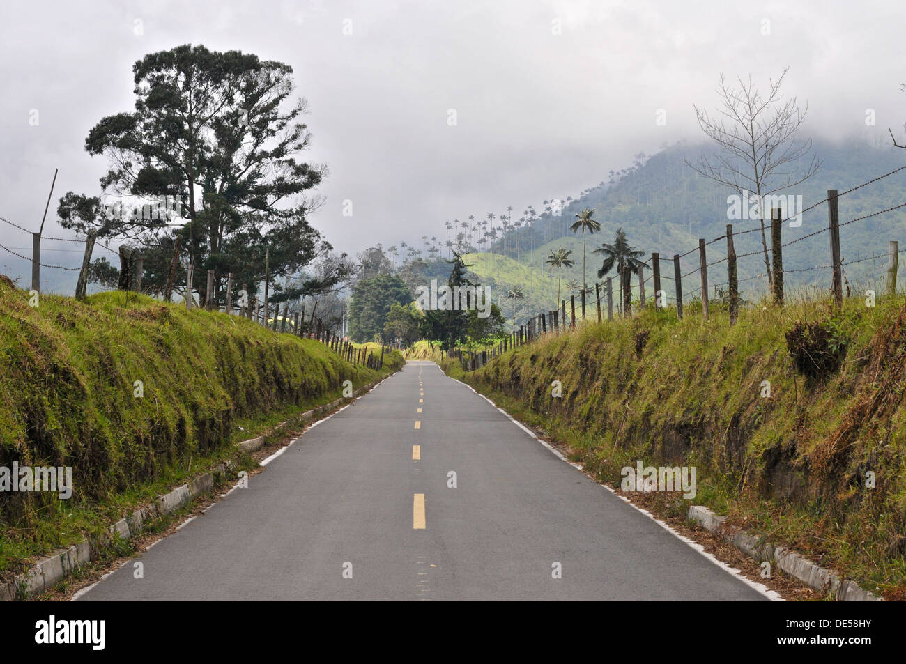 Empty road in the Cocora Valley. Salento (Colombia). . Declared as ...