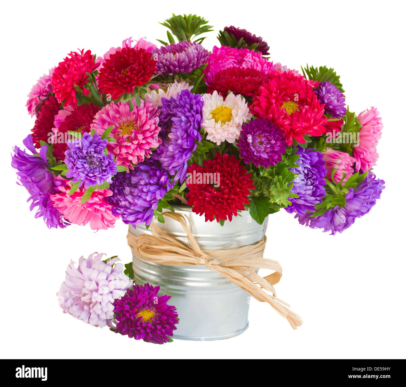bouquet of aster flowers in pot Stock Photo - Alamy