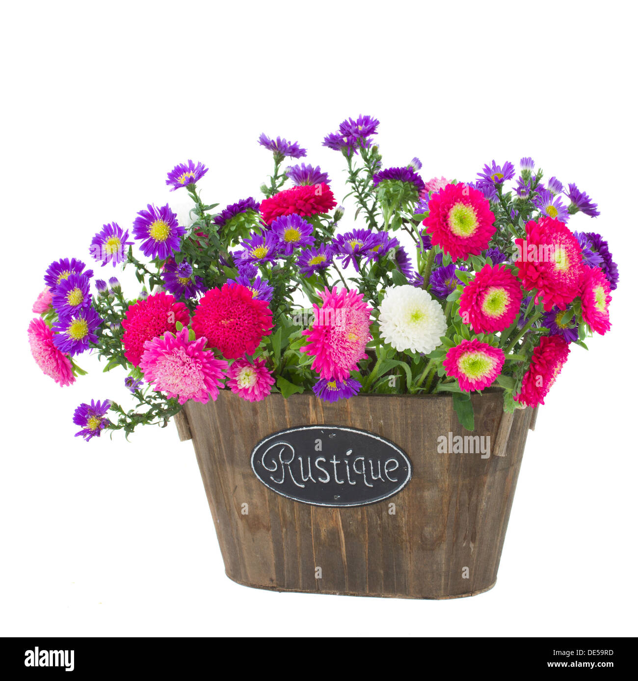 bunch of aster and mum flowers Stock Photo - Alamy