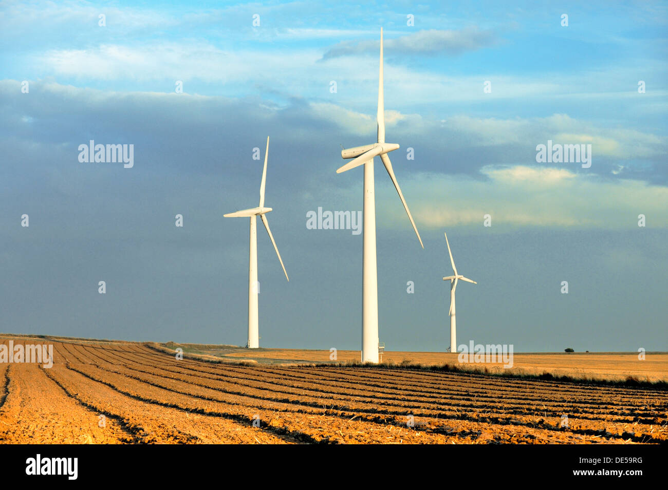 Wind farm turbines on rich crop soil farm land at Easington, Holderness ...