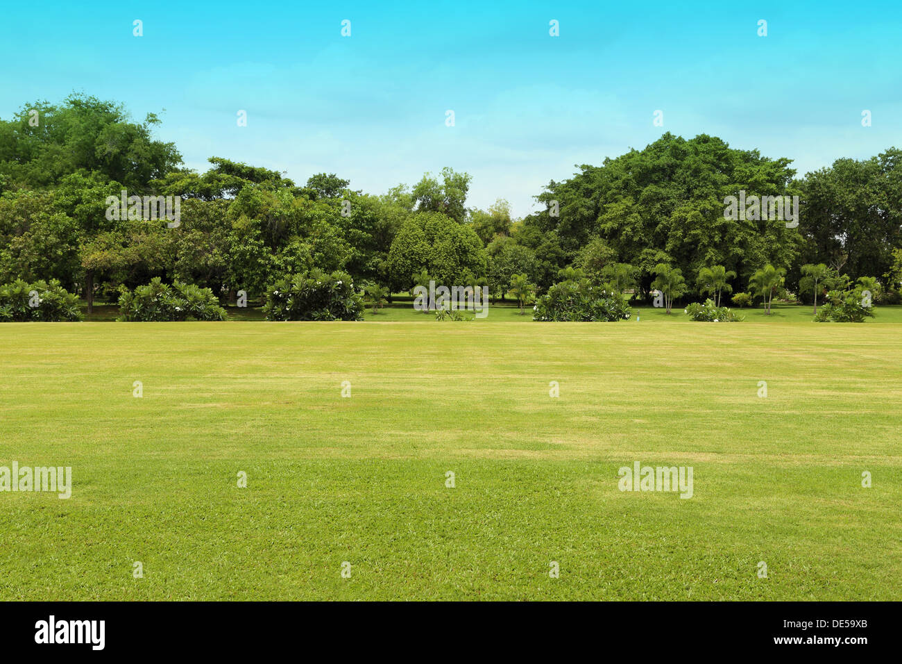 green grass field in big garden Stock Photo - Alamy