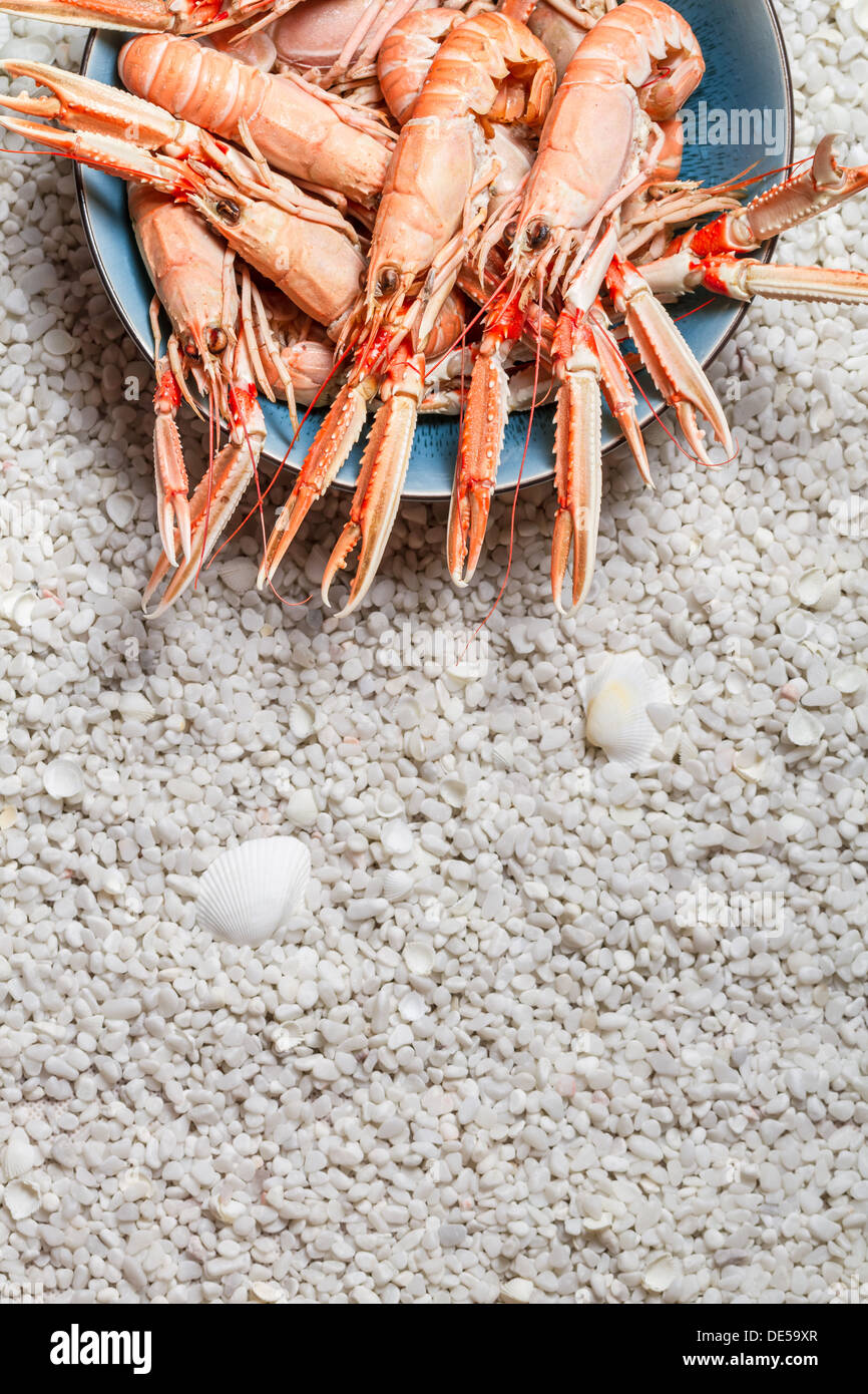Fresh scampi served on the beach Stock Photo - Alamy