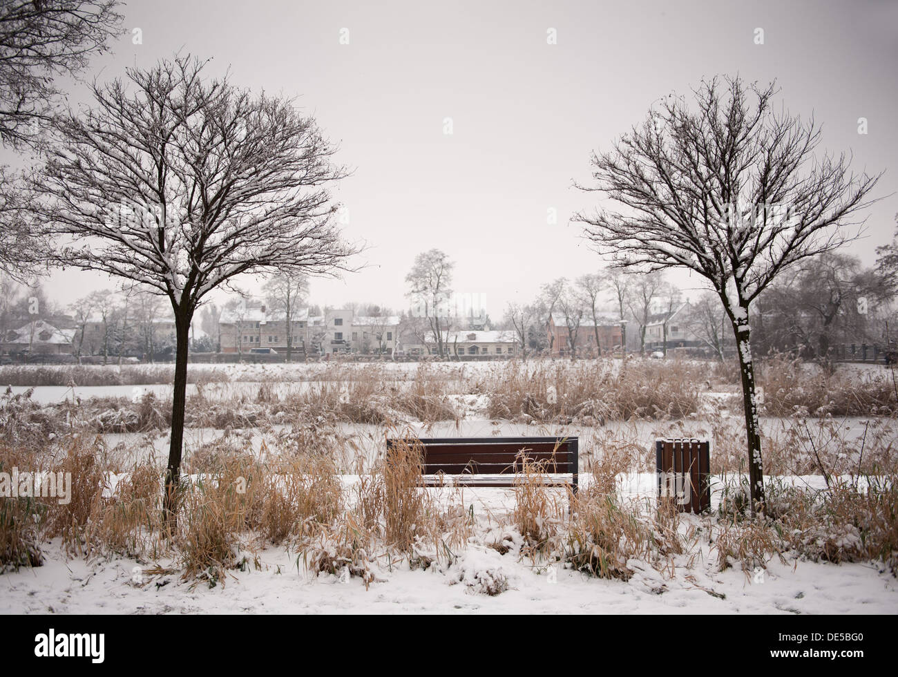 Bench between two trees in hi-res stock photography and images - Alamy