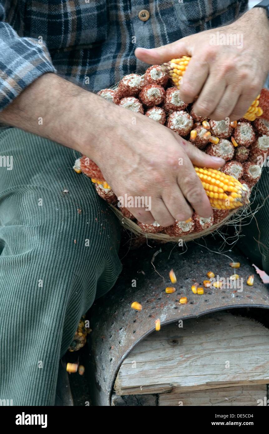 Old corn processing hi-res stock photography and images - Alamy