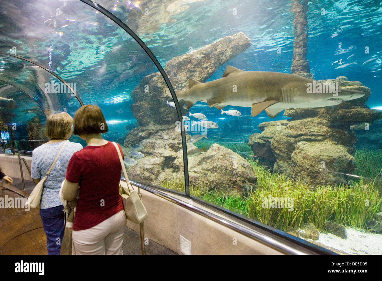Inside barcelona aquarium hi-res stock photography and images - Alamy