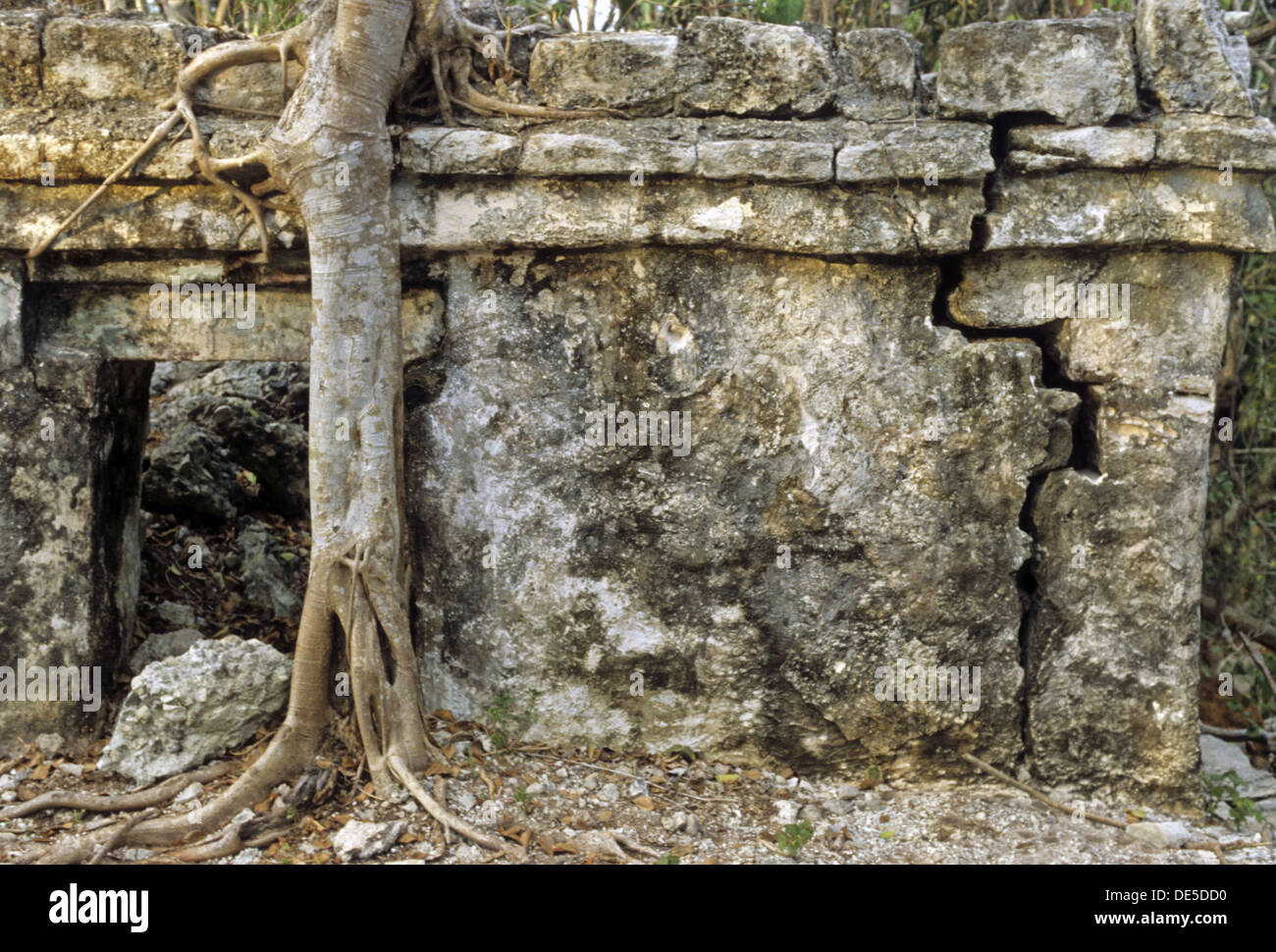 Xcaret ruins hi-res stock photography and images - Alamy