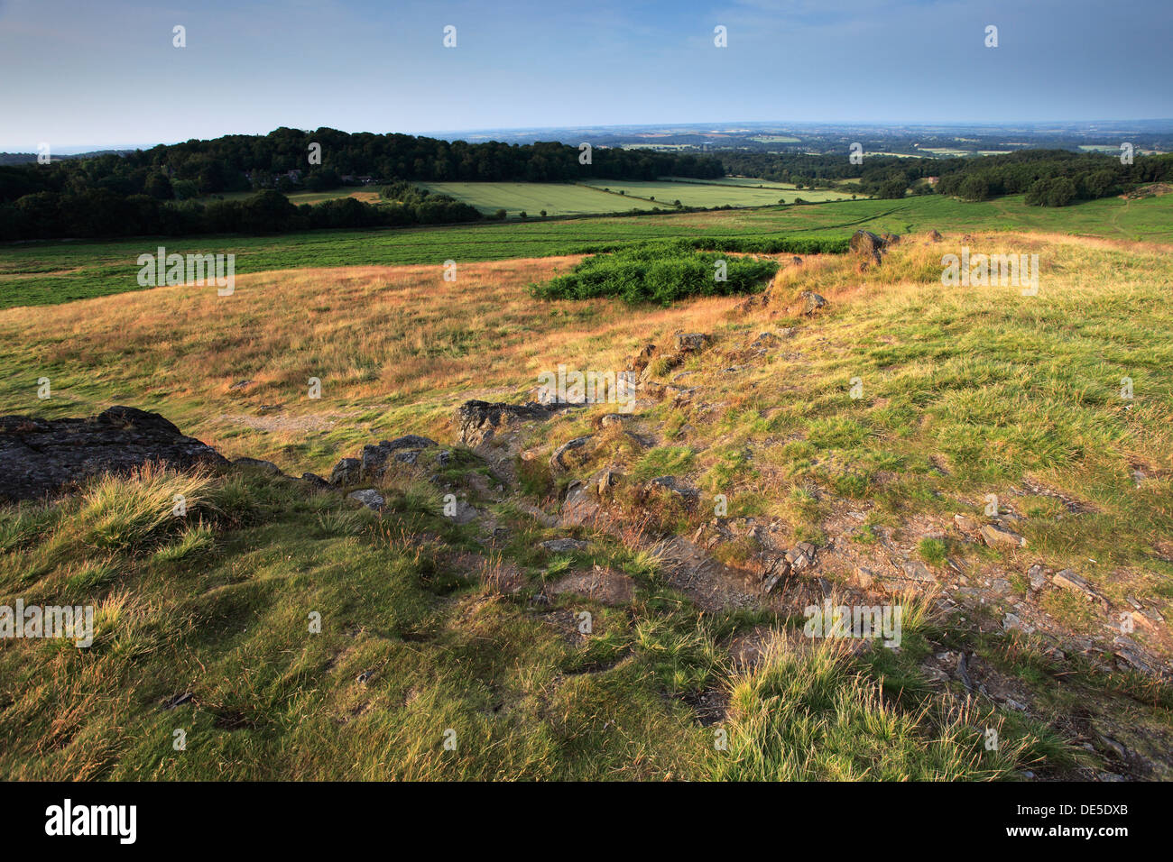 Summer landscape over Bradgate Park, Leicestershire, England; Britain ...