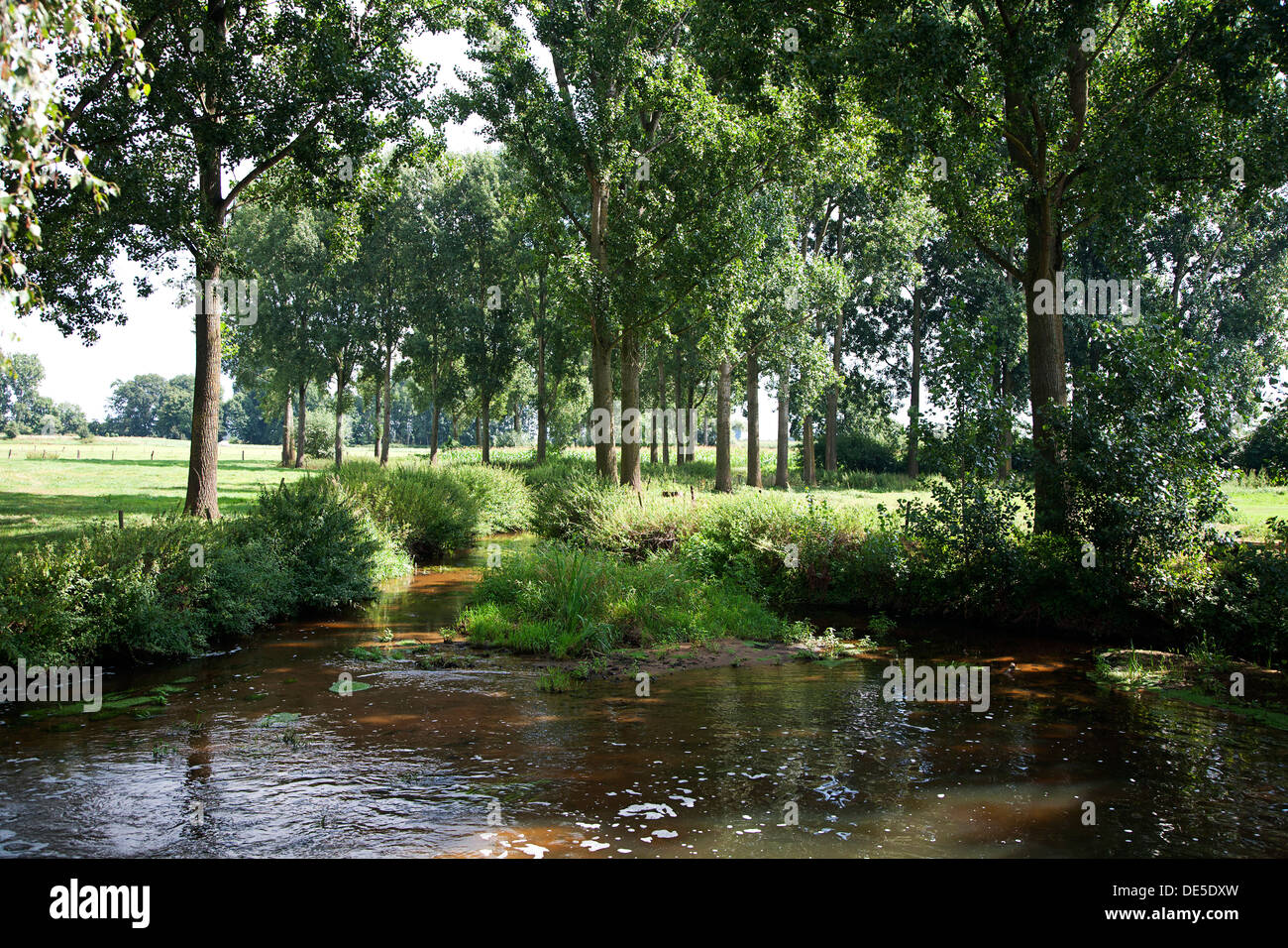 Rural landscape near Vierlingsbeek, North Brabant, Netherlands Stock ...