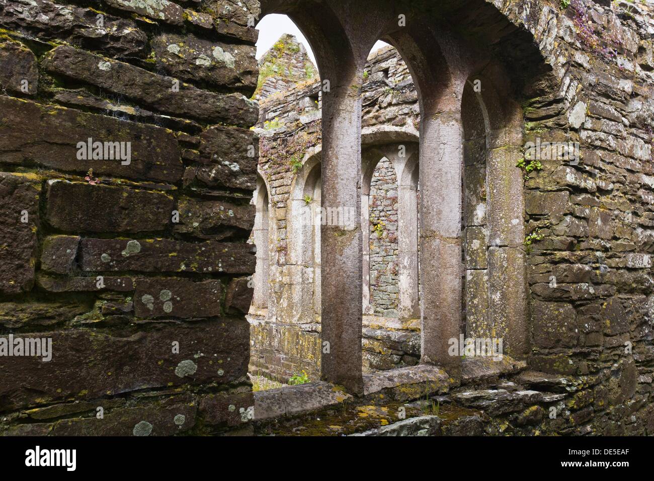 Timoleague Abbey High Resolution Stock Photography and Images - Alamy