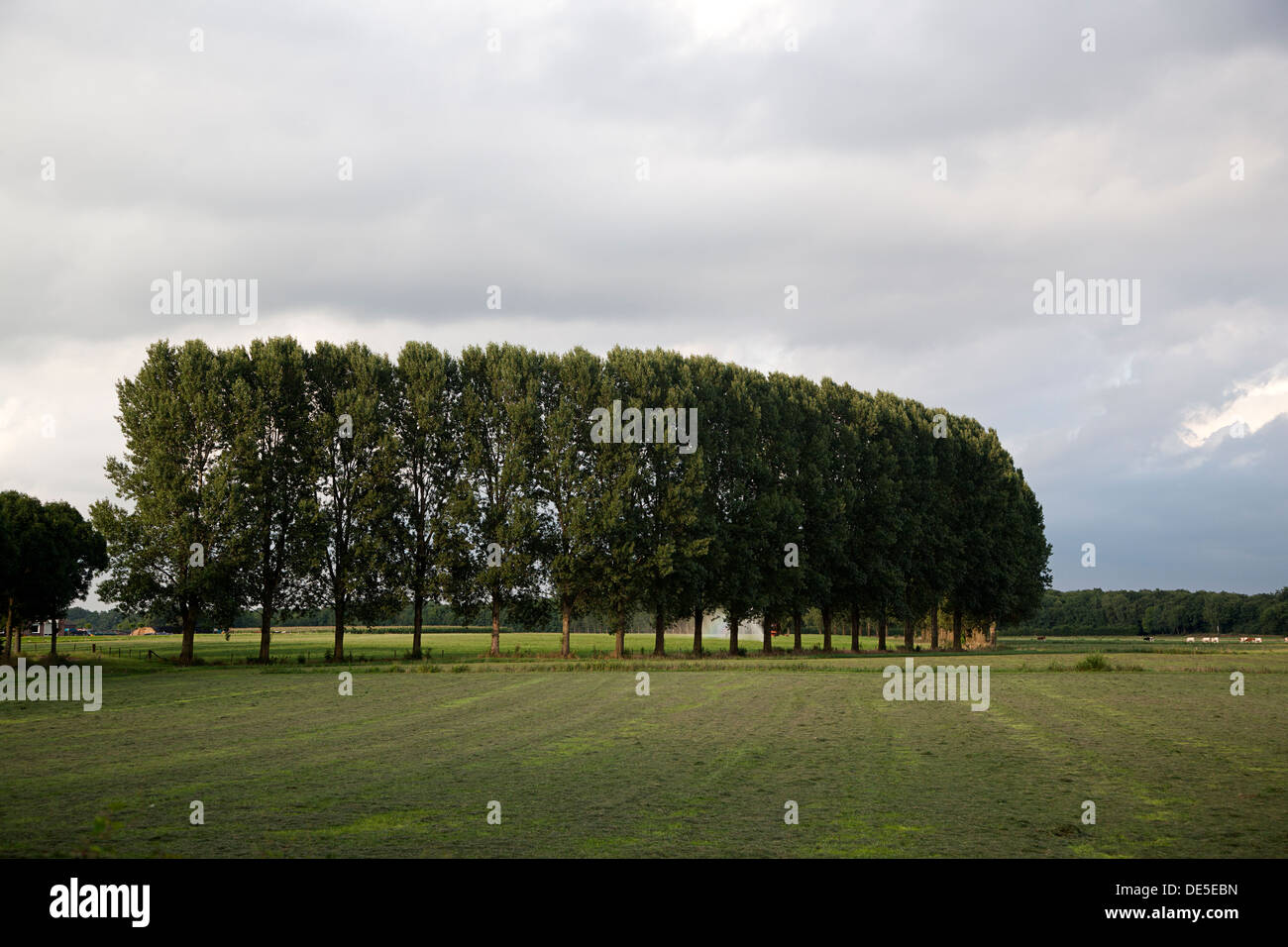Curved landscape hi-res stock photography and images - Alamy