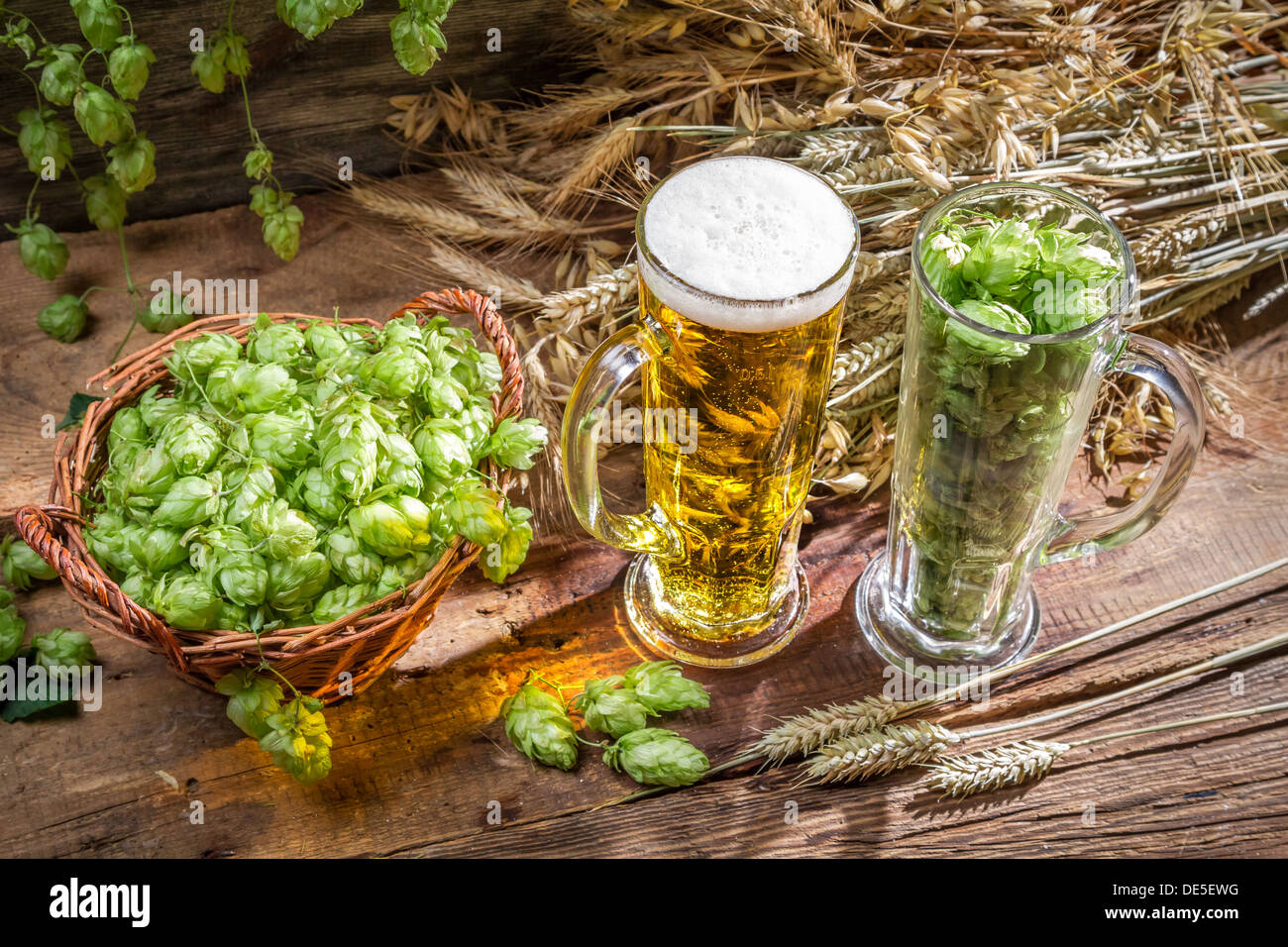 Malt grains beer hi-res stock photography and images - Alamy