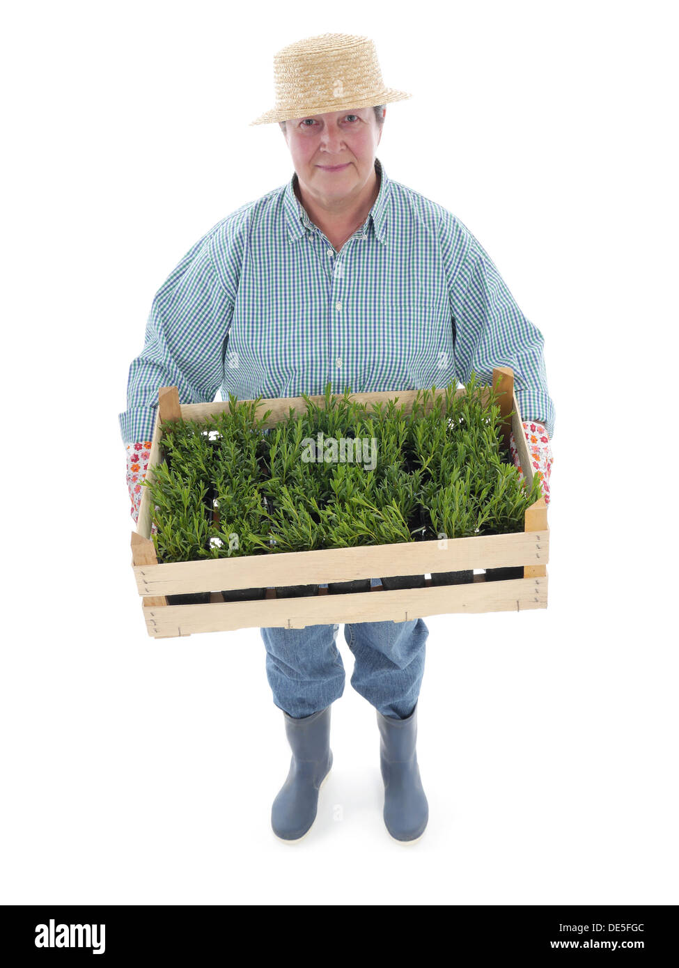 Person holding wooden crate Cut Out Stock Images & Pictures - Alamy