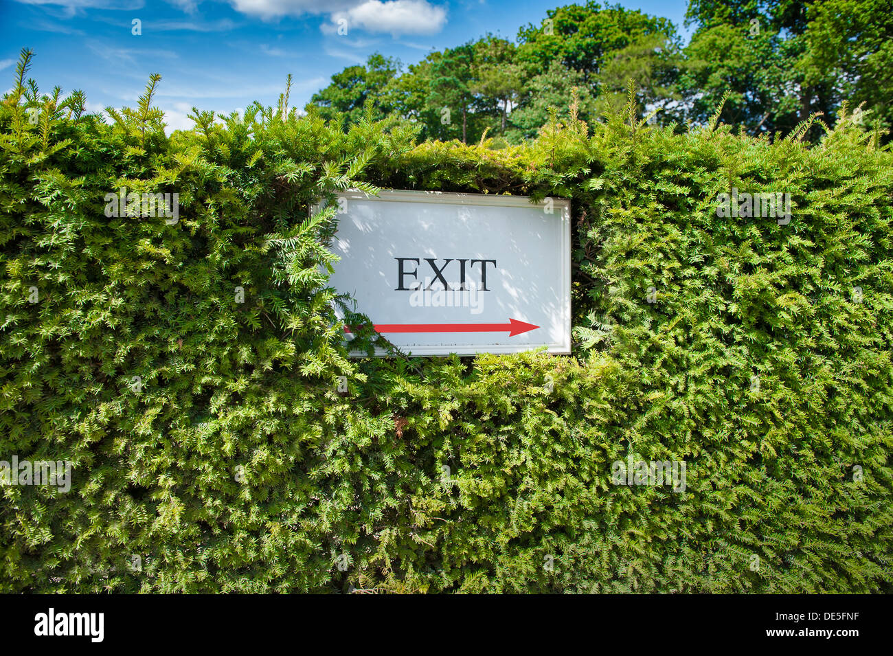 Exit sign exodus hi-res stock photography and images - Alamy