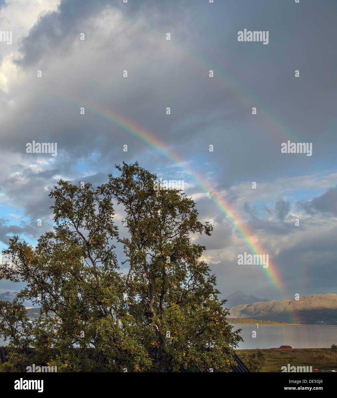 double rainbow over tree Stock Photo - Alamy
