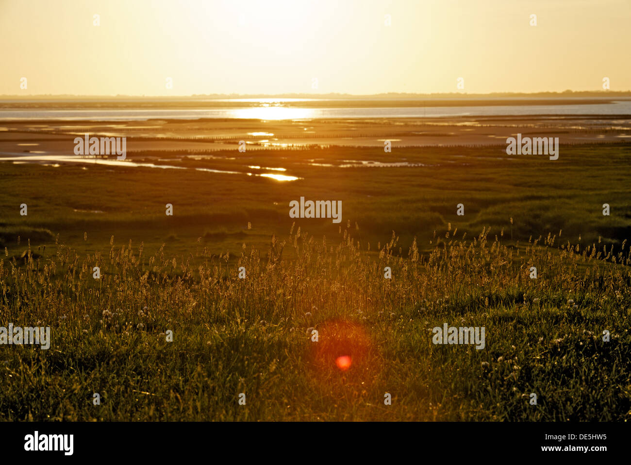 Sunset on a dike at the North Sea Stock Photo - Alamy