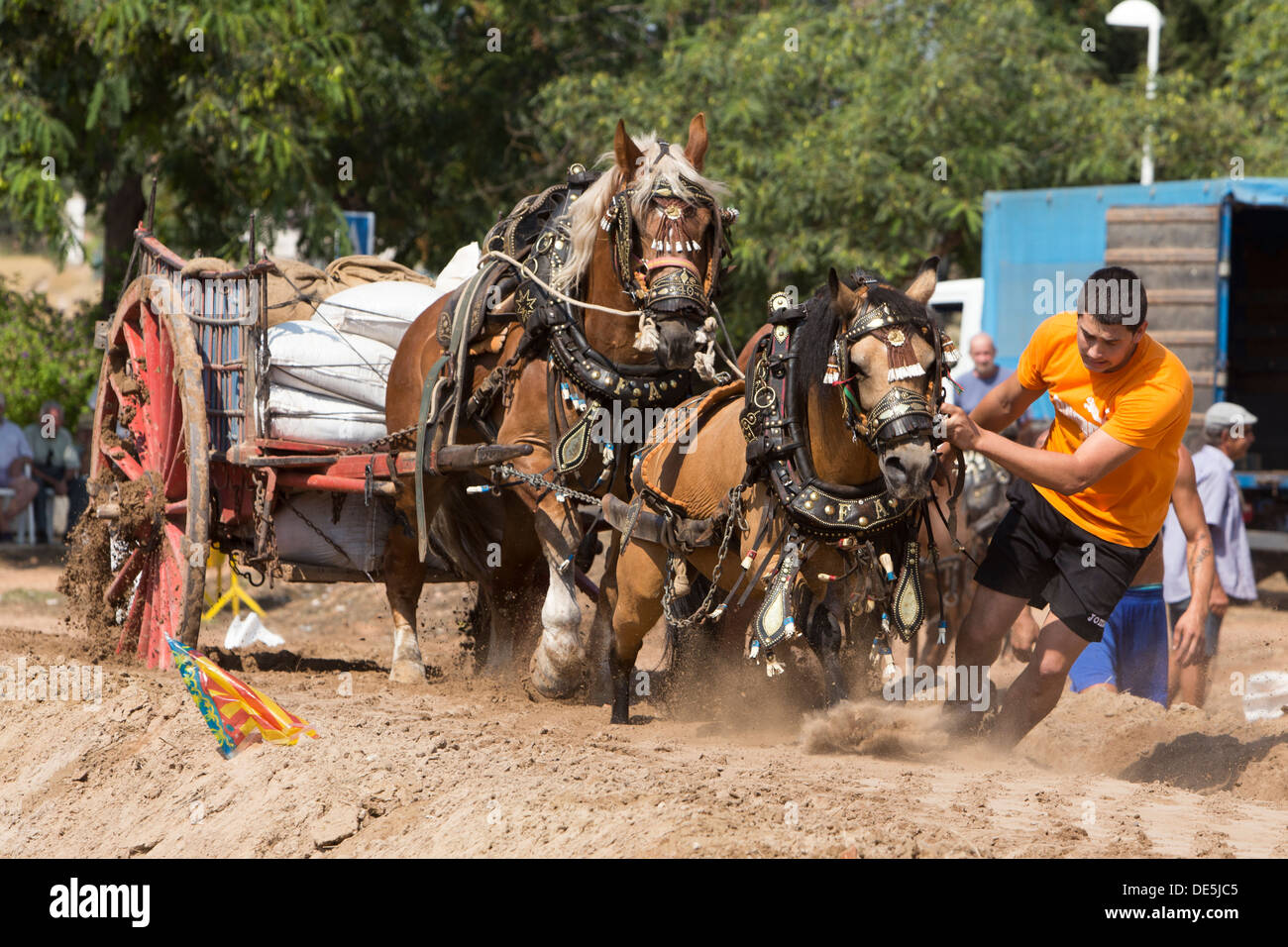 Festivities kick and drag, weight dragging horses Championship in ...