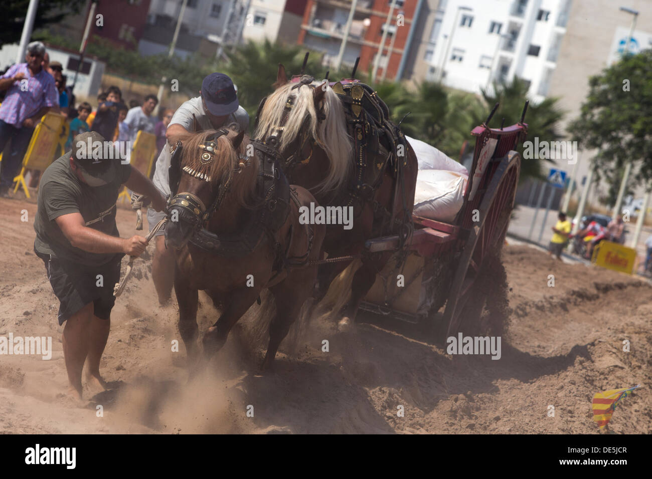 Championship horses hi-res stock photography and images - Alamy