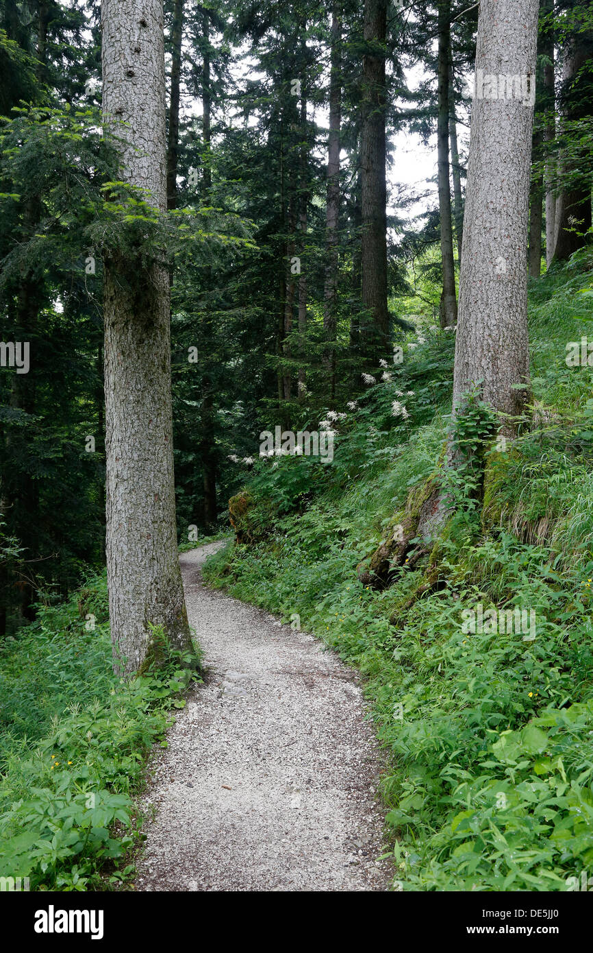 Flight path trail hi-res stock photography and images - Alamy