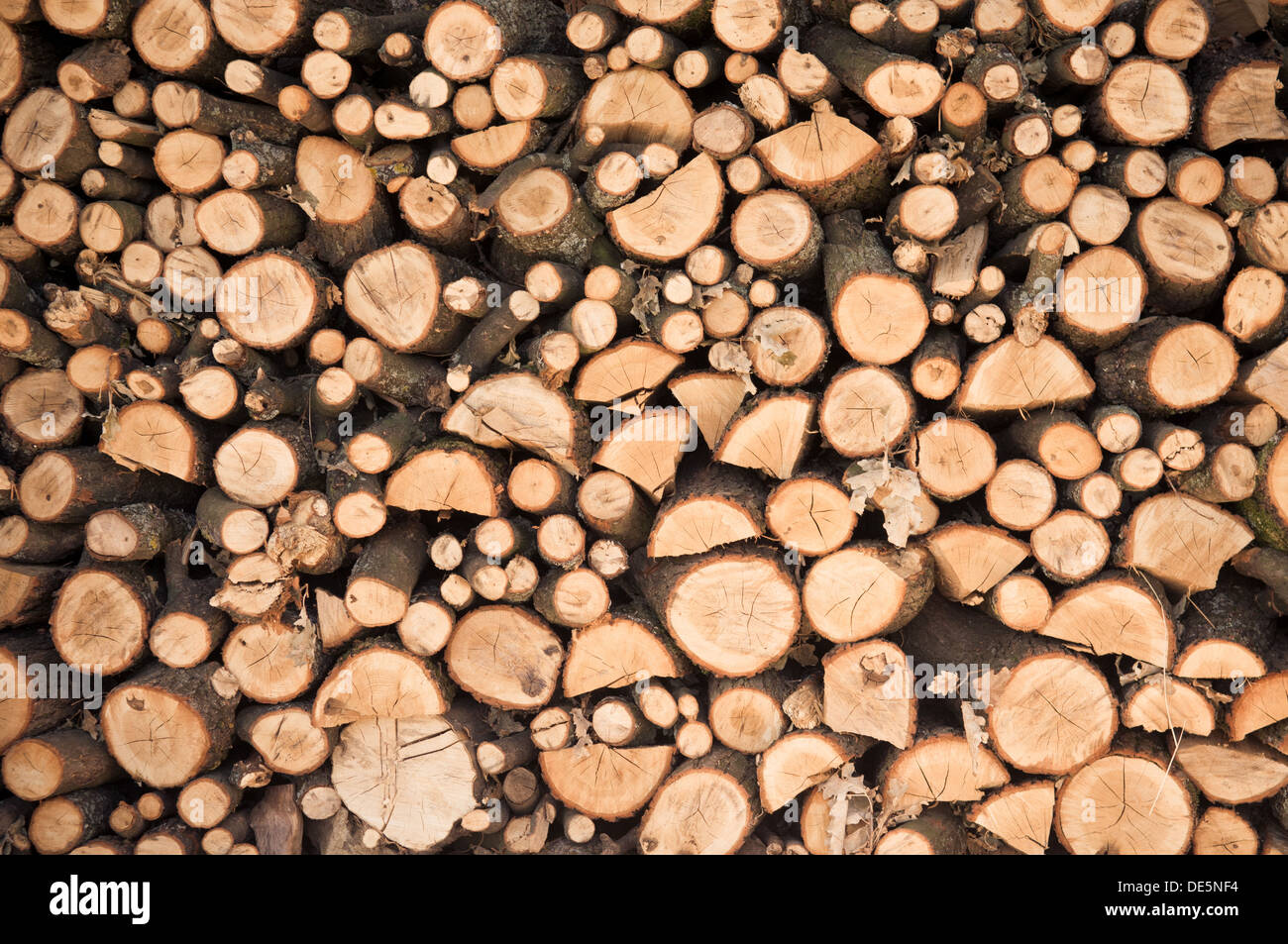 Stacked firewood background Stock Photo - Alamy