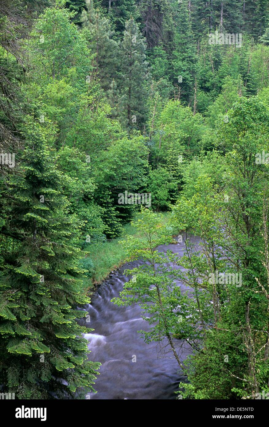 Tucannon river trail hi-res stock photography and images - Alamy