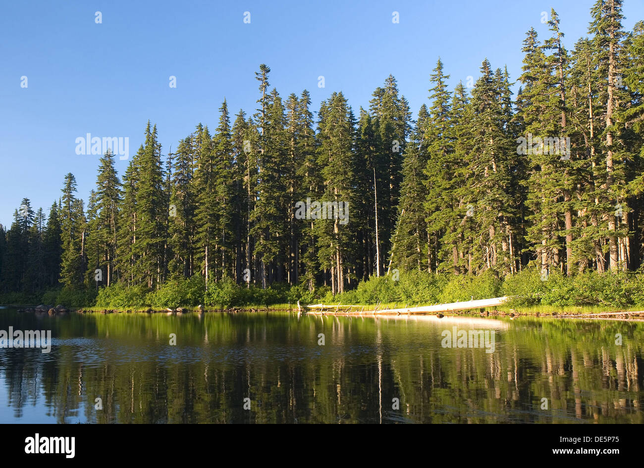 Indian heaven hi-res stock photography and images - Alamy