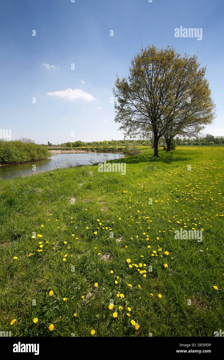 Germany landscape hi-res stock photography and images - Alamy