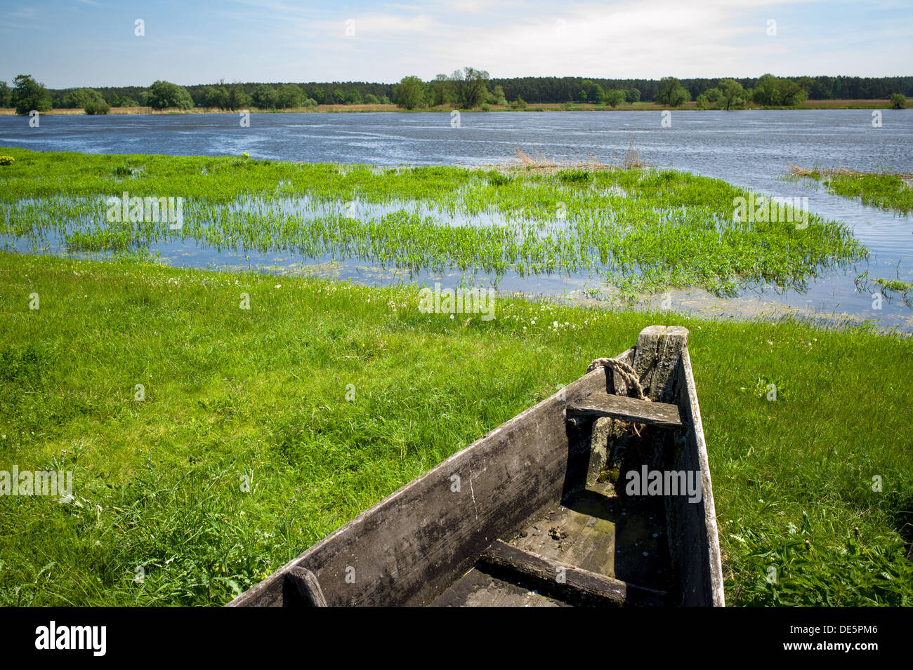 Stolpe, Germany, floodplain landscape in the Lower Oder Valley National ...