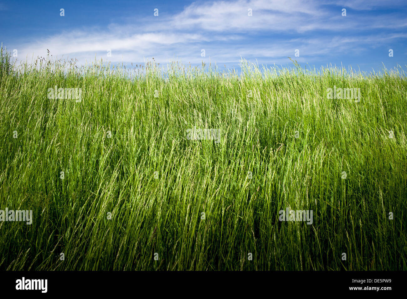Grass embankment hi-res stock photography and images - Alamy