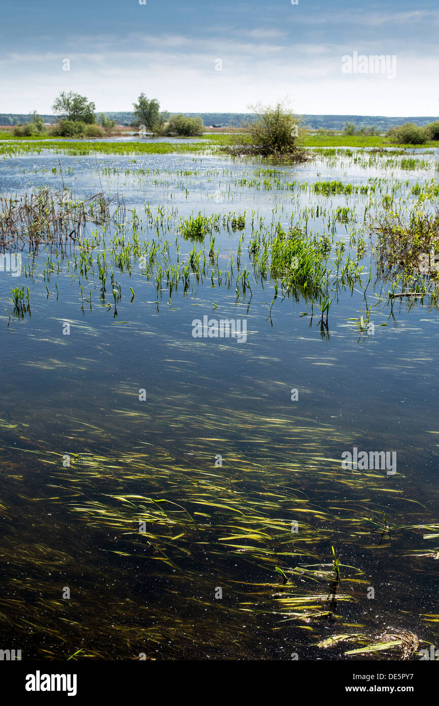 Stolpe, Germany, view over the Oder River in the Lower Oder Valley ...
