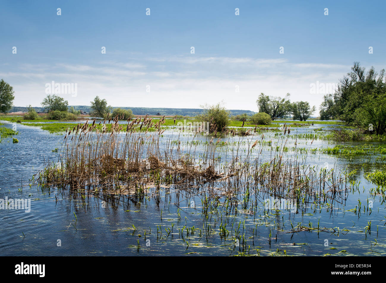 Stolpe, Germany, view over the Oder River in the Lower Oder Valley ...