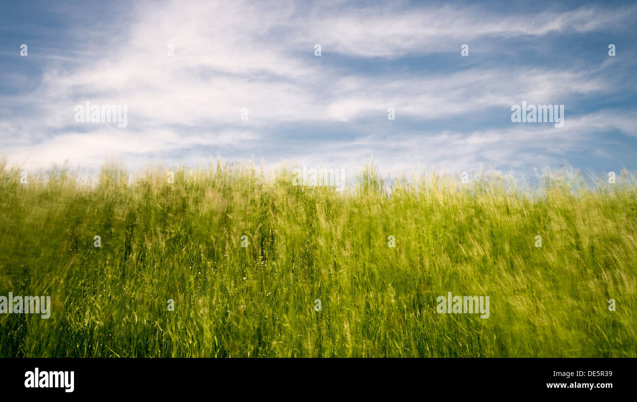 Grass embankment hi-res stock photography and images - Alamy