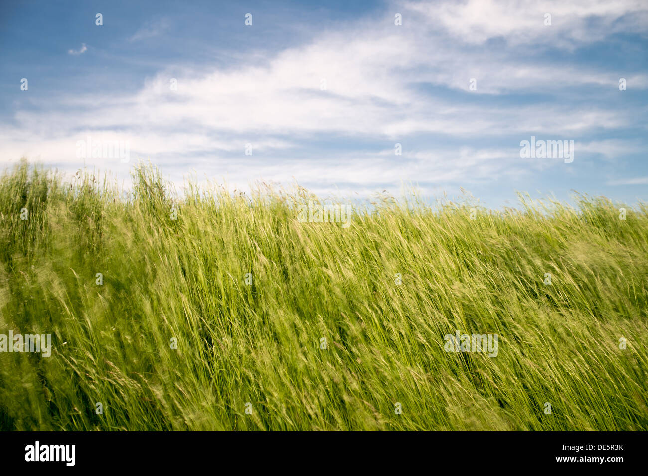 Grass embankment hi-res stock photography and images - Alamy