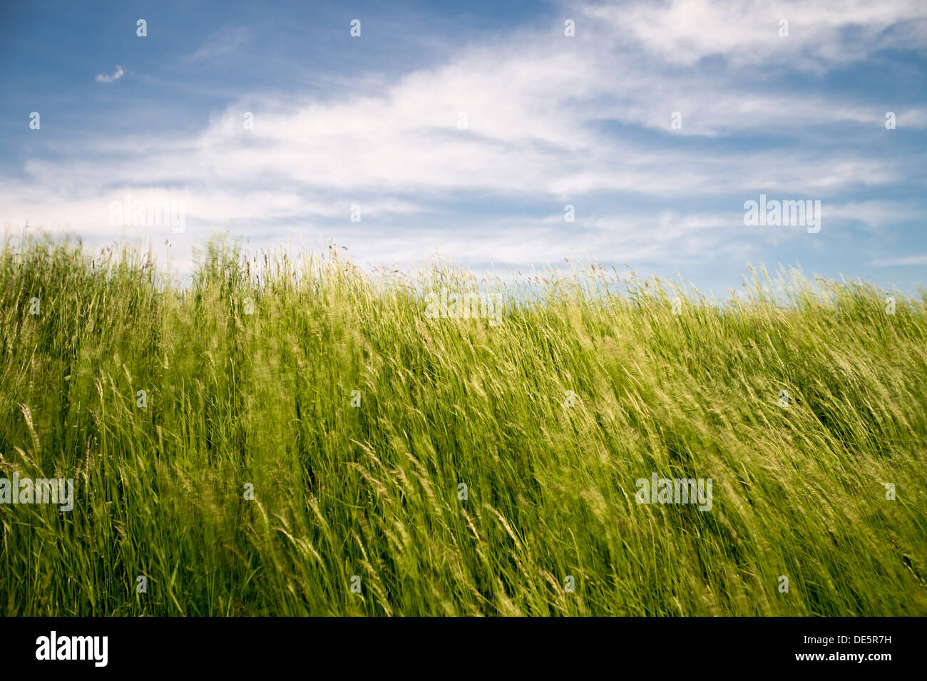 Grass embankment hi-res stock photography and images - Alamy