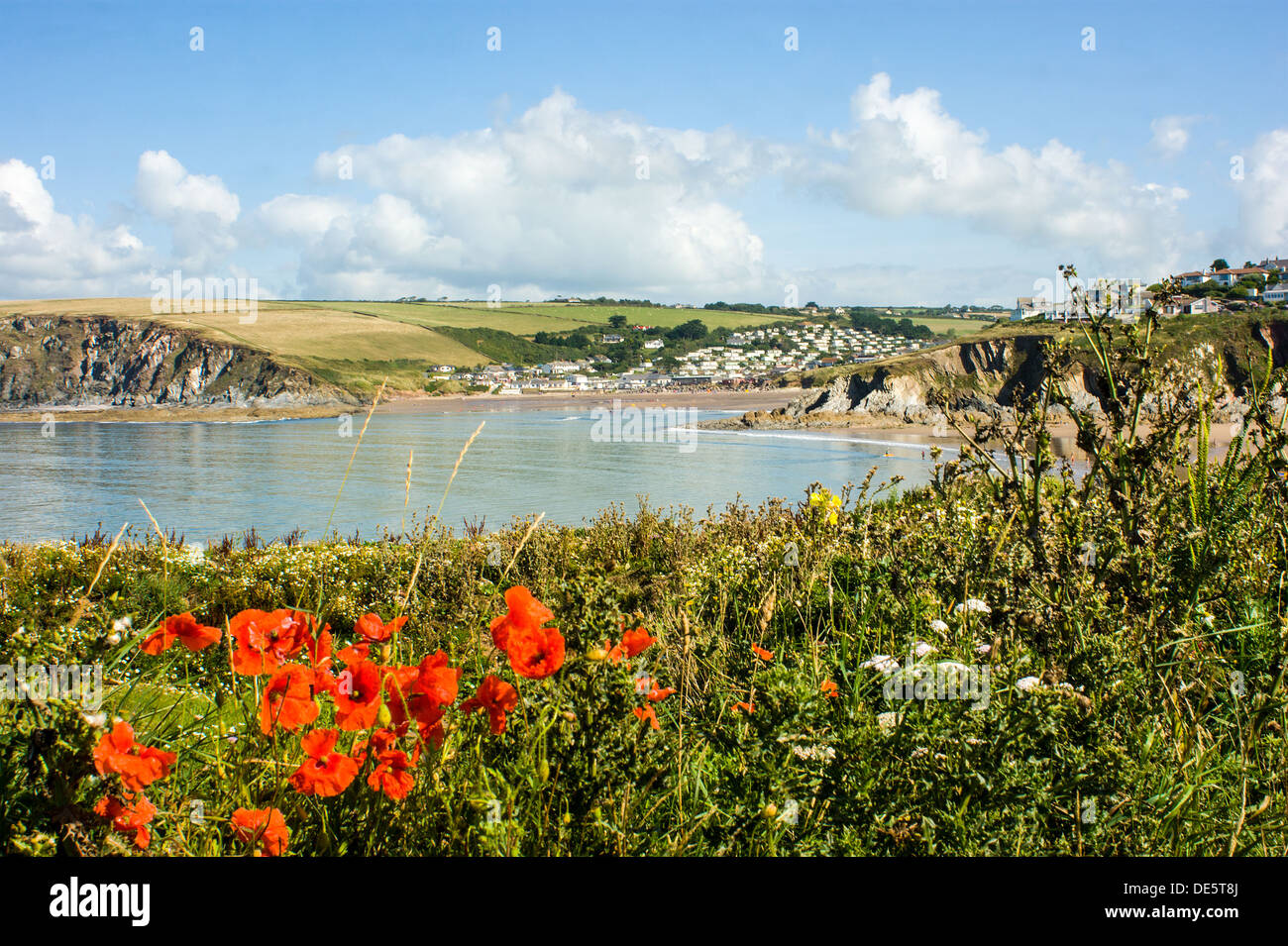 Challaborough bay devon hi-res stock photography and images - Alamy