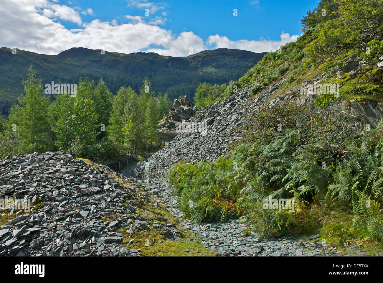 Old slate quarry above the village of Chapel Stile, Langdale, Lake ...