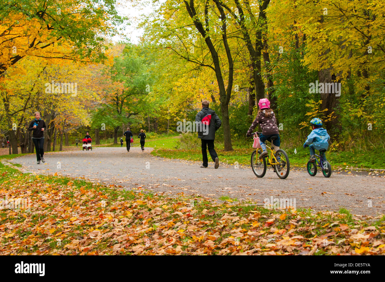 Autumn Mount Royal Park Montreal Quebec Canada Stock Photo - Alamy