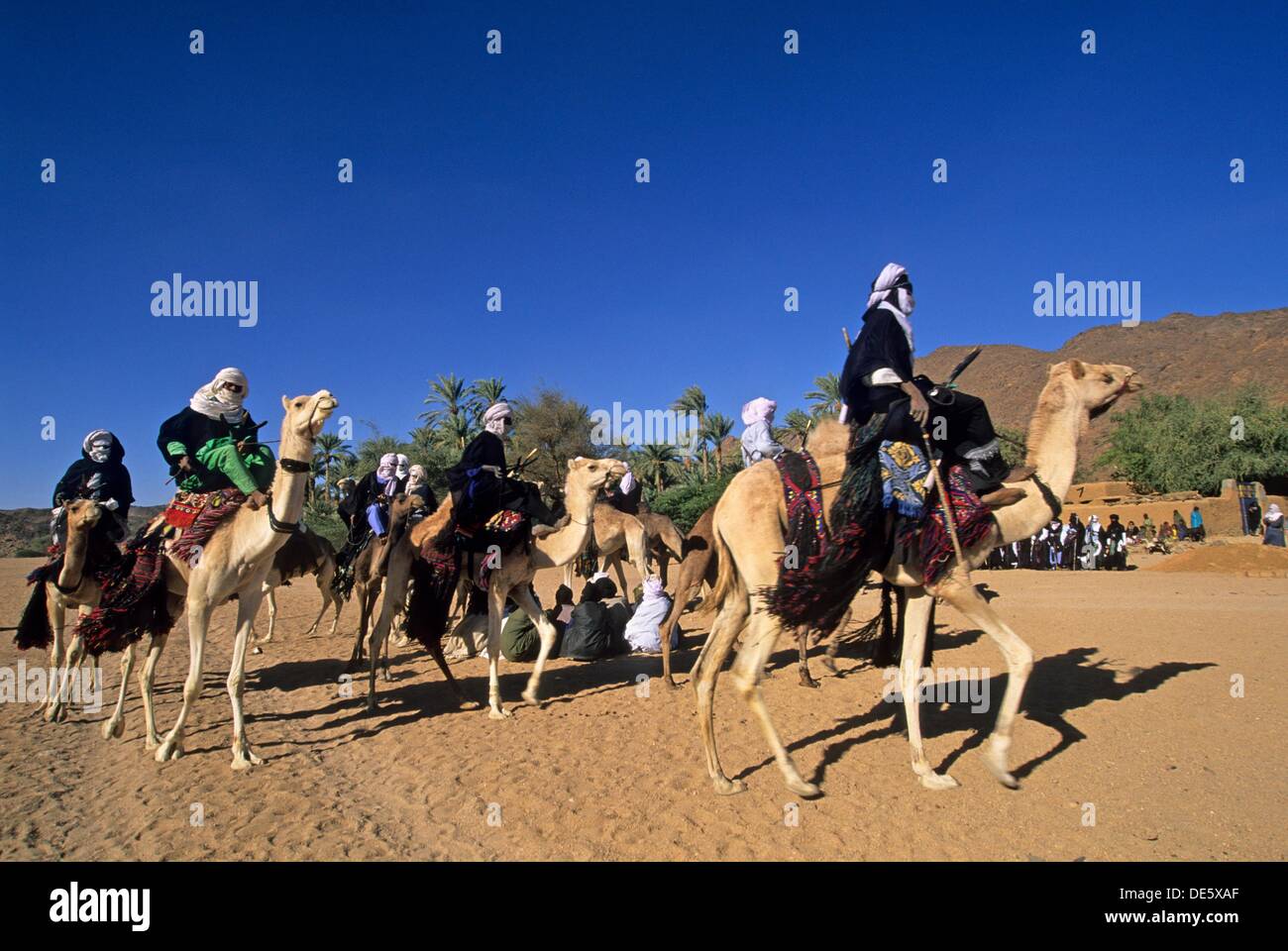 Tuareg mehari hi-res stock photography and images - Alamy