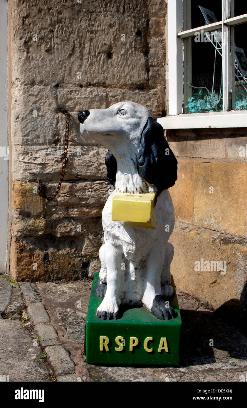 Rspca charity collection box hi-res stock photography and images - Alamy