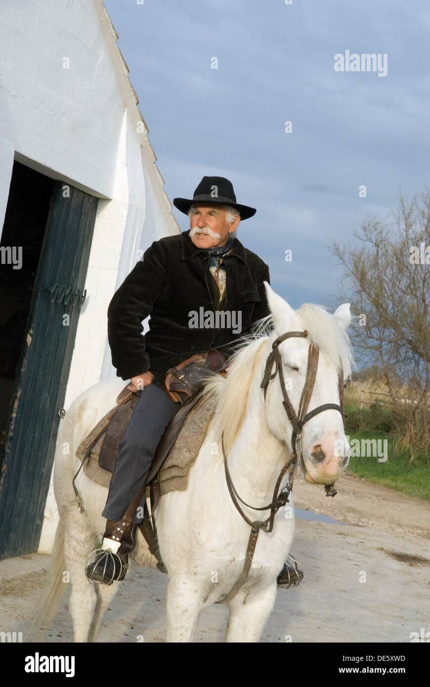 French cowboy gardian horse hi-res stock photography and images - Alamy