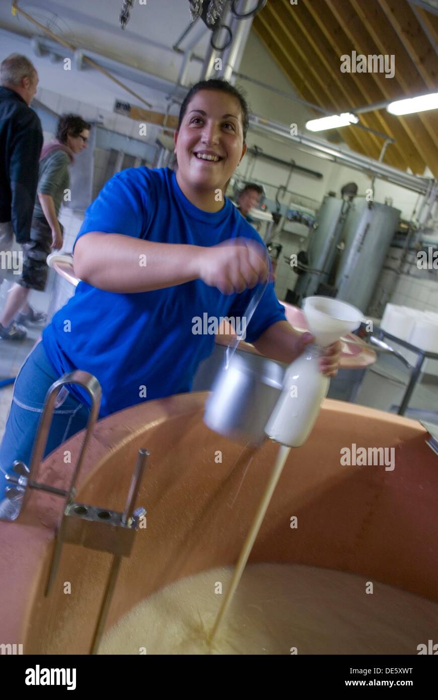 Cheese factory with cow hi-res stock photography and images - Alamy