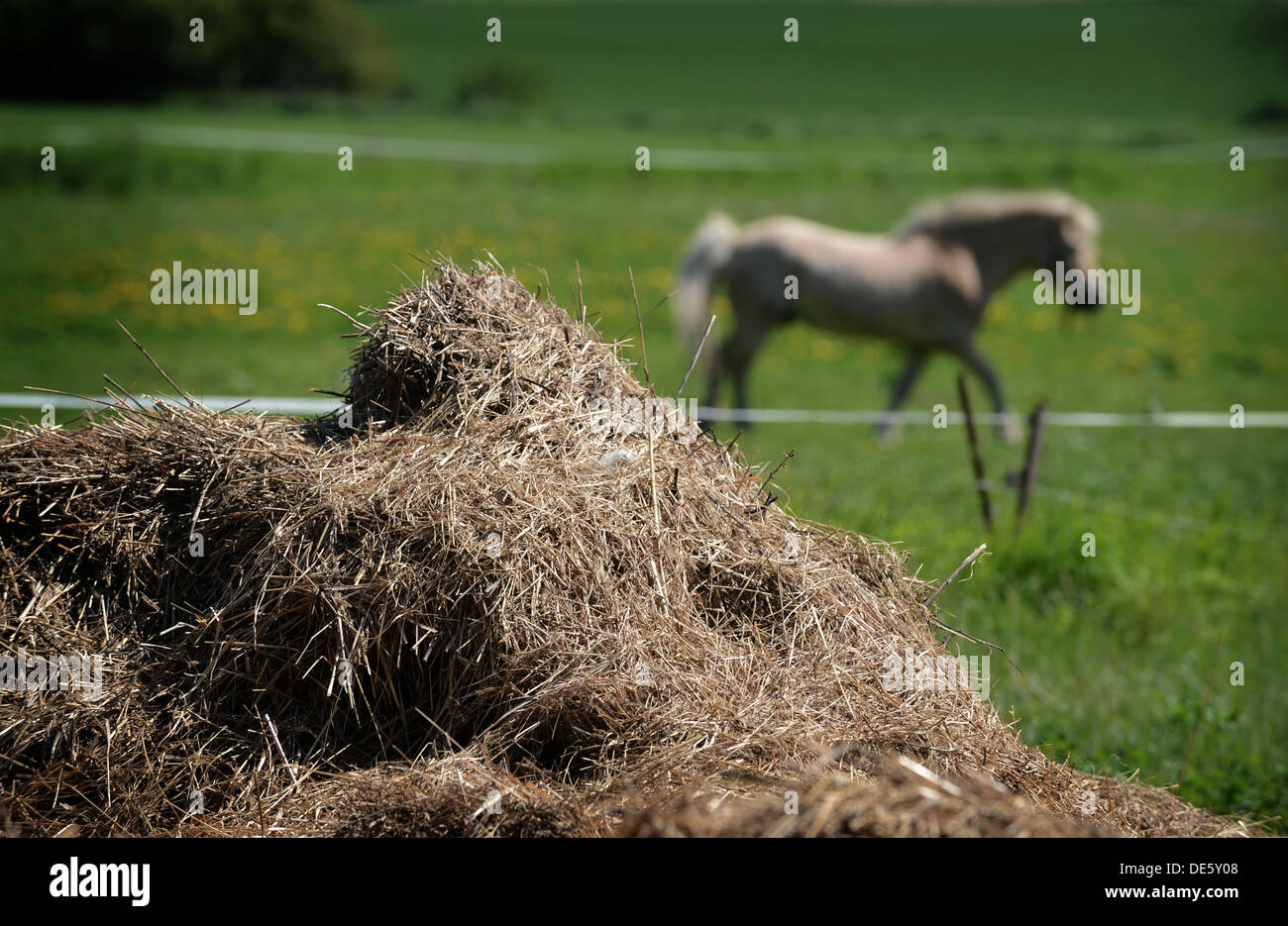 Background haystack hi-res stock photography and images - Alamy
