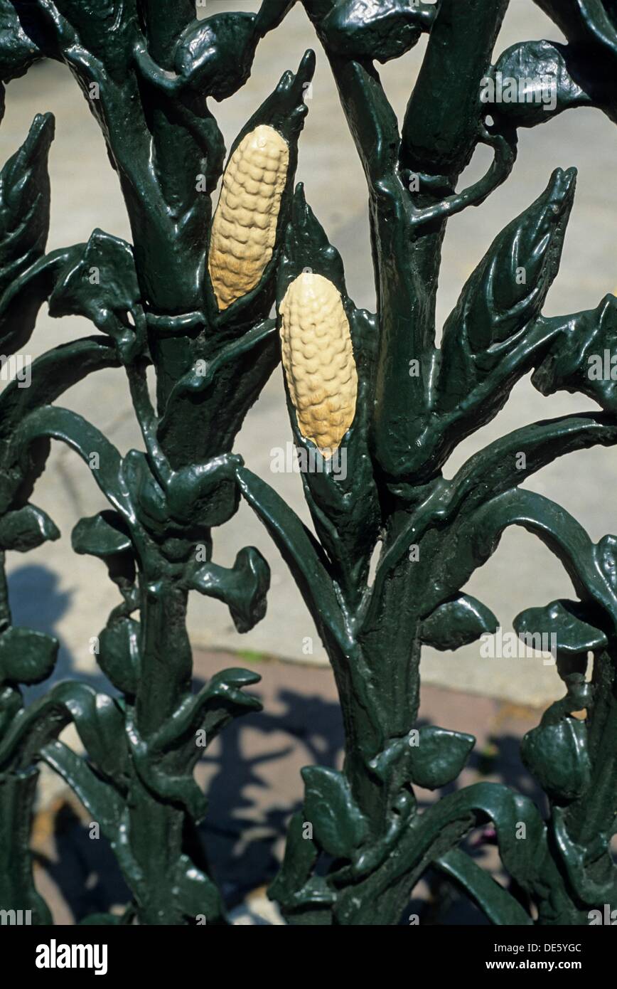 Cornstalk High Resolution Stock Photography and Images - Alamy