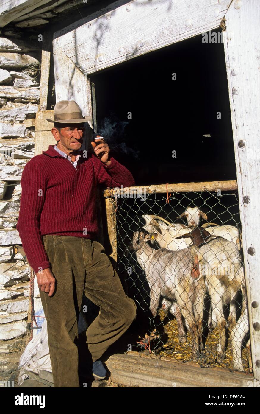 Shepherd man hi-res stock photography and images - Alamy