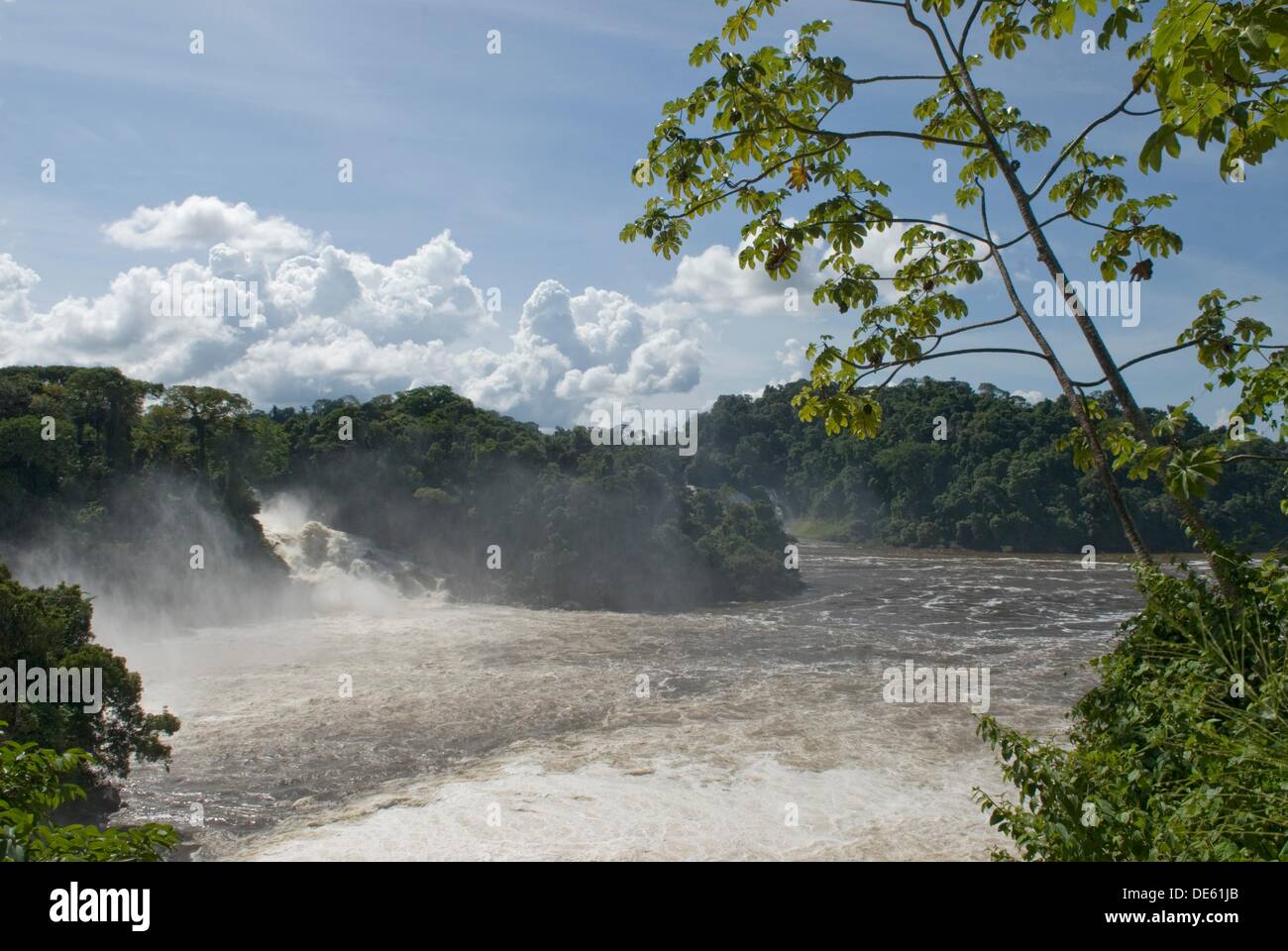 Caura river hi-res stock photography and images - Alamy