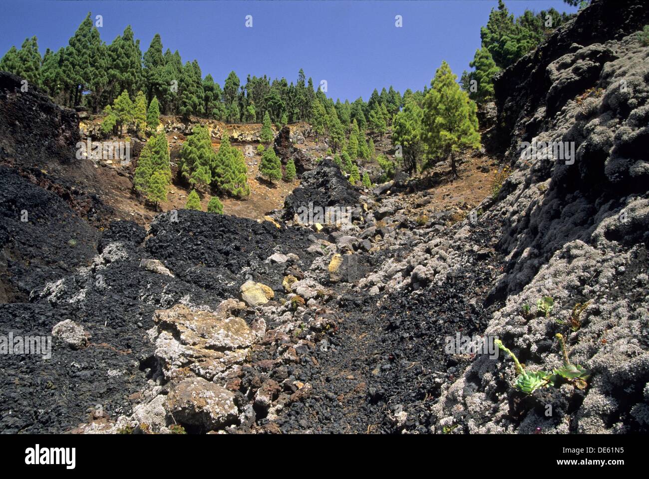 Hoyo Negro,The Volcano Route,La Palma,Canary Islands, Spanish ...